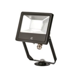 Collingwood Indoor & Outdoor LED Residential Floodlight Black 30W 3000 ...