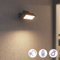 LAP Myko Davern Outdoor LED Smart Floodlight With PIR Sensor Black 20W ...