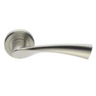 Door Handles on Rose | Door Furniture | Screwfix