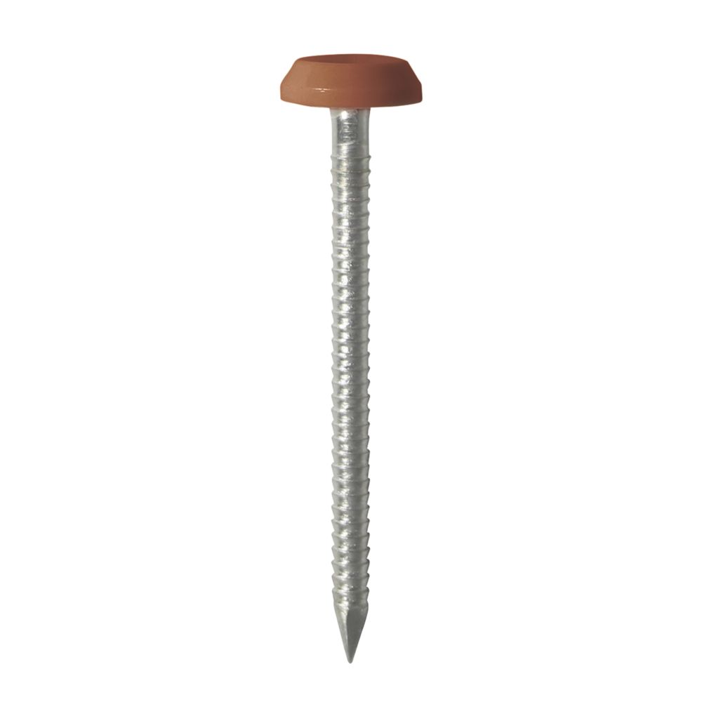 Timco Polymer-Headed Nails Clay Brown Head A4 Stainless Steel Shank 3 ...