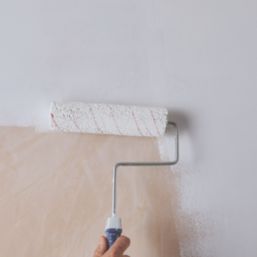 Fortress Trade 10Ltr Brilliant White Matt Emulsion Bare Plaster Paint ...