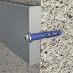 Rawlplug R-FFS TX Frame Fixings with Hex Head Screws 10mm x 50mm 50 ...