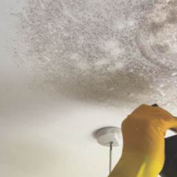 Scrubb Ultimate Mould Eradication Kit - Screwfix