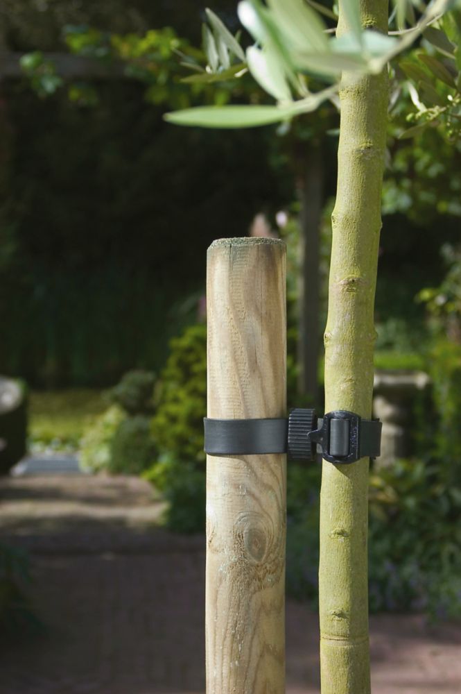 Apollo 18" (460mm) Buckle Tree Ties 30 Pack - Screwfix