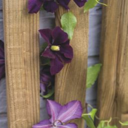 Forest Trellis Garden Screen 1' x 6' 3 Pack - Screwfix
