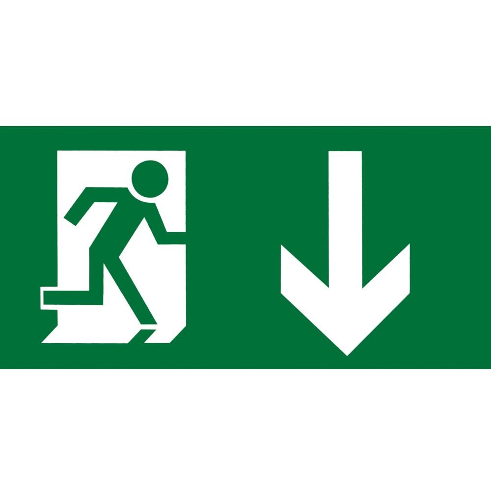 Aurora EN-LG2D Emergency Exit Down Legend 145mm x 290mm - Screwfix