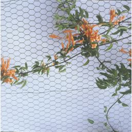 Apollo 25mm Galvanised Wire Netting 0.6m x 10m - Screwfix