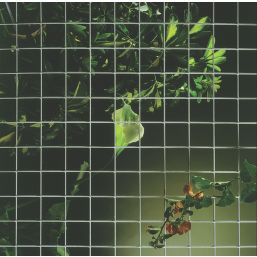 Apollo 25 x 25mm Galvanised Welded Mesh 0.9m x 6m - Screwfix