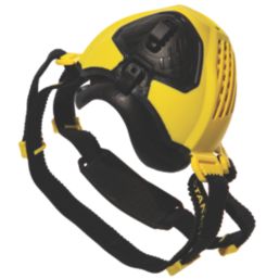 Stanley Small / Medium Reusable Dust Mask P3R - Screwfix