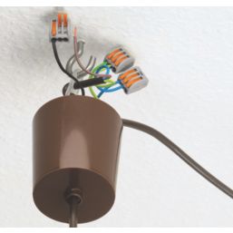 Wago 222-412 32A 2-Way Lever Connectors 50 Pack - Screwfix