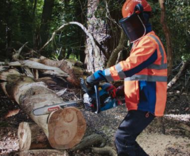 Erbauer Garden Power Tools | Screwfix