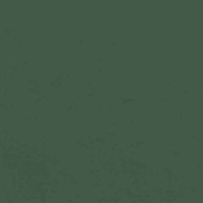 LickPro Green | Lick Green Paint | Screwfix