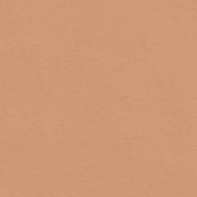 LickPro Orange | Lick Orange Paint | Screwfix