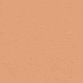 LickPro Orange | Lick Orange Paint | Screwfix