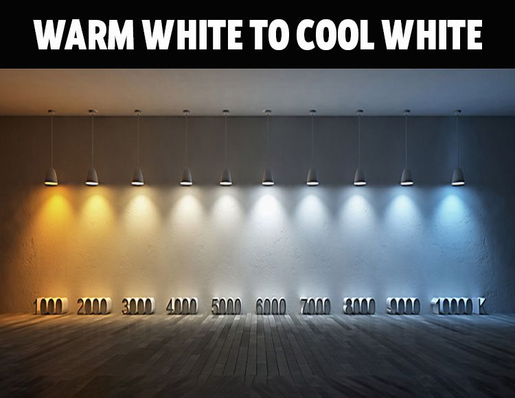 Warm Vs Cool Led Lights Warm Vs. Cool Lighting: Choosing The Perfect